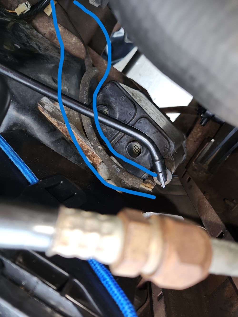 Evap canister hose routing / connection questions - General Discussion ...