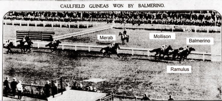 Melbourne Cup Trivia Quiz - Chat - The Race Place