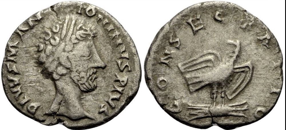 Weird Romans ... Unusual Portraits - Roman Imperial Coins - Numis Forums