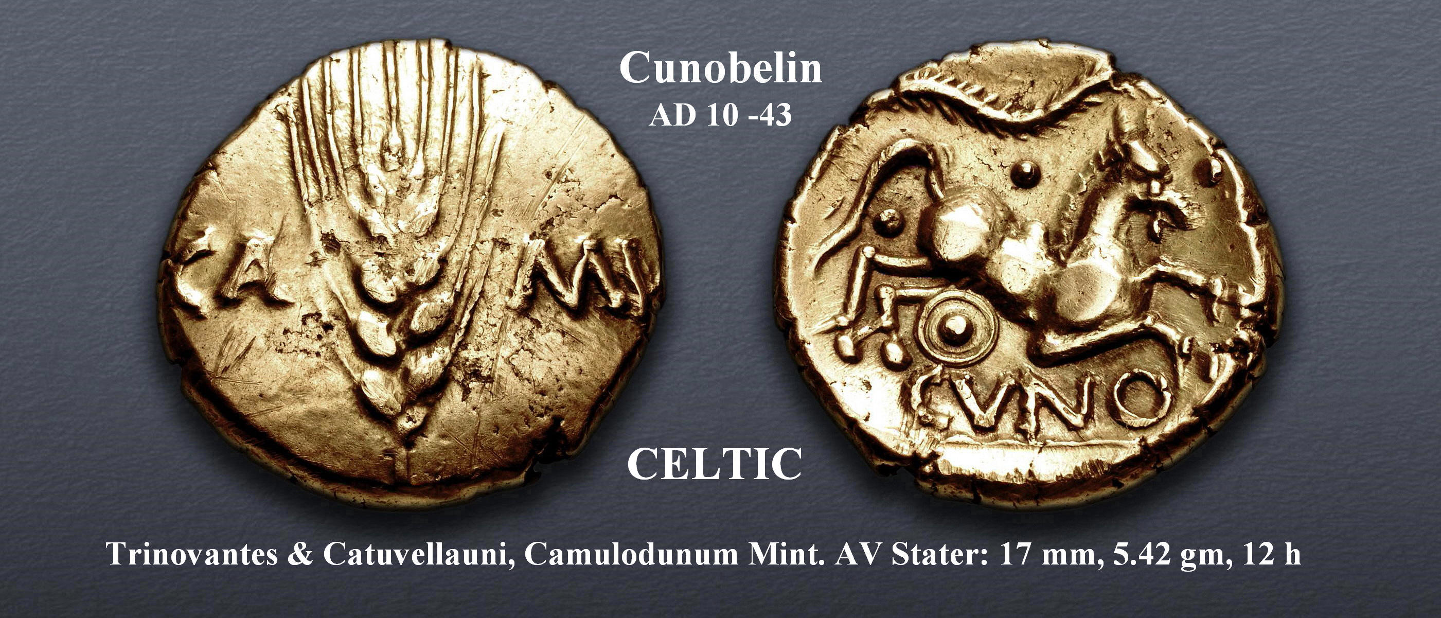 The Legendary Cunobeline, Strong as a Dog - Celtic Coins - Numis Forums