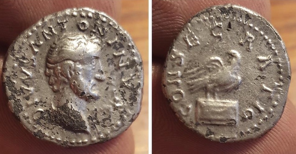 Weird Romans ... Unusual Portraits - Roman Imperial Coins - Numis Forums