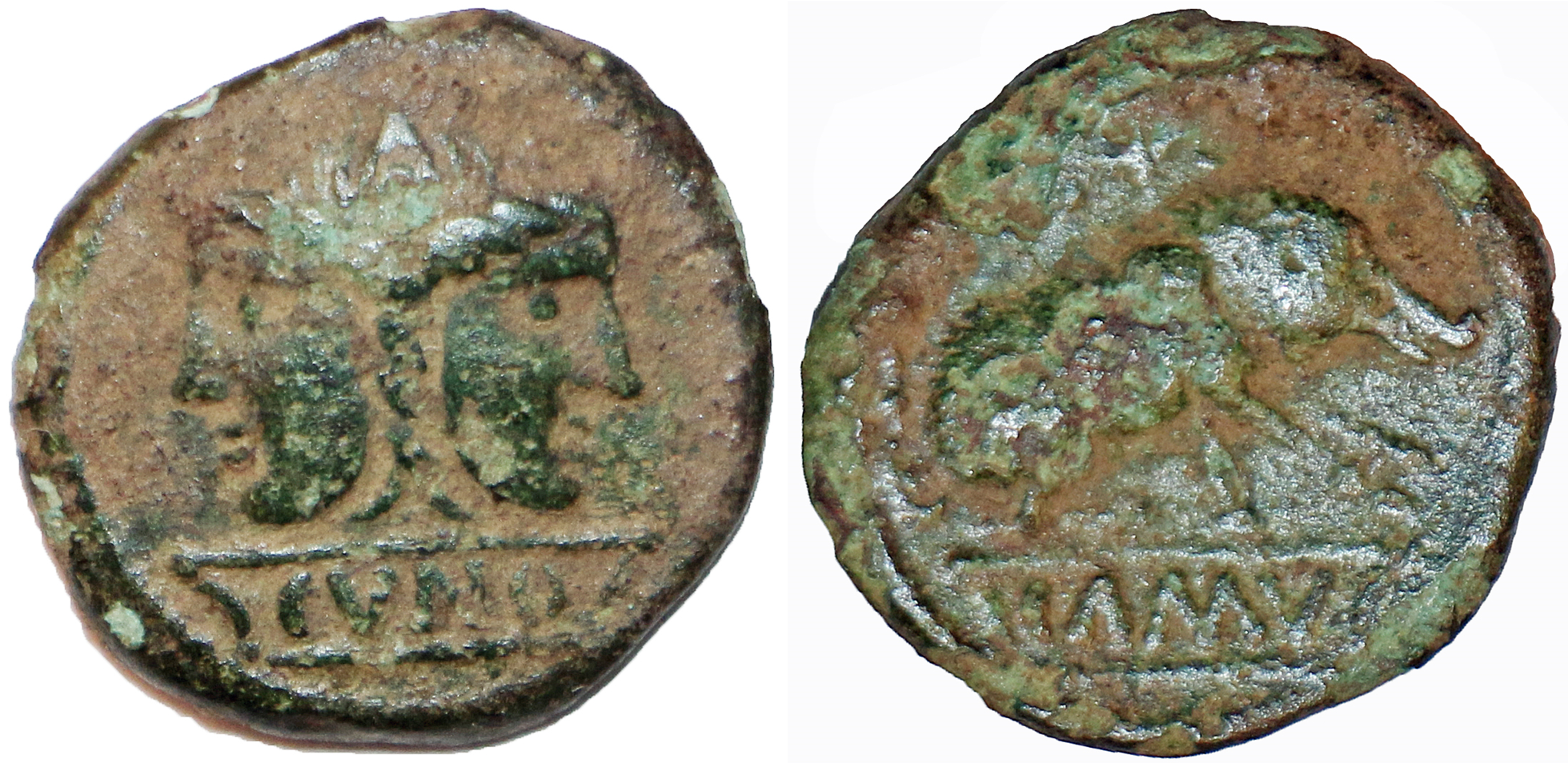 The Legendary Cunobeline, Strong as a Dog - Celtic Coins - Numis Forums