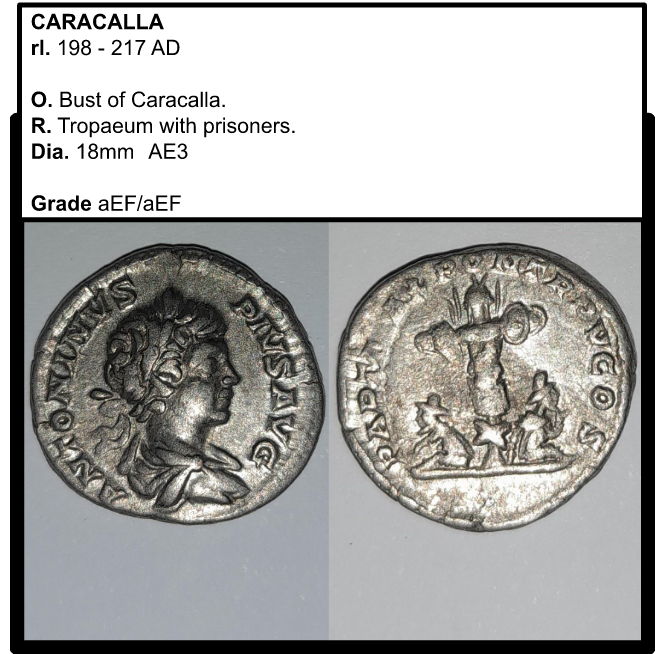 Hello! I'm new to Roman Coin collecting and would love some advice ...