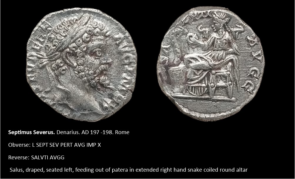 New Septimius Severus Sestertius - Roman Imperial Coins - Numis Forums