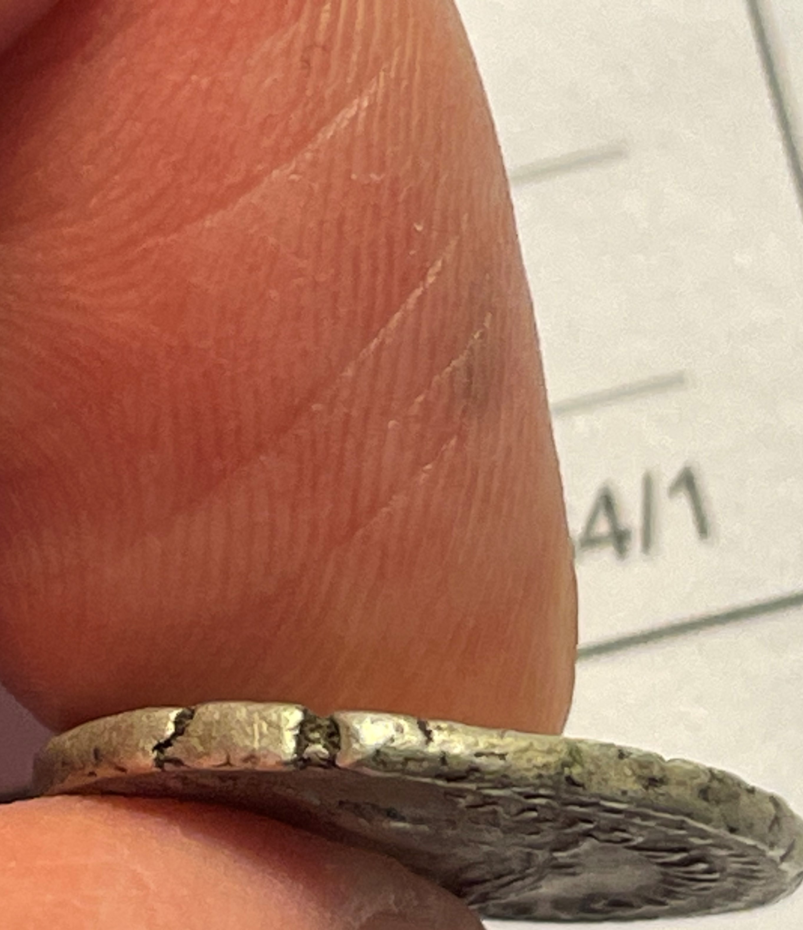 Titus Elephant Denarius - Roman Imperial Coins - Numis Forums