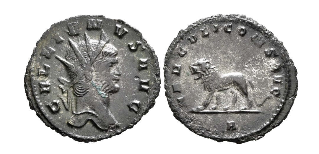 Lucky at Leu with my two (Gallienus lion and unique pegasus) - Roman ...