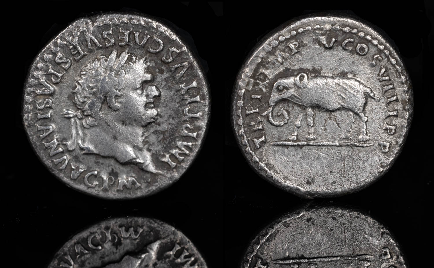 Titus Elephant Denarius - Roman Imperial Coins - Numis Forums