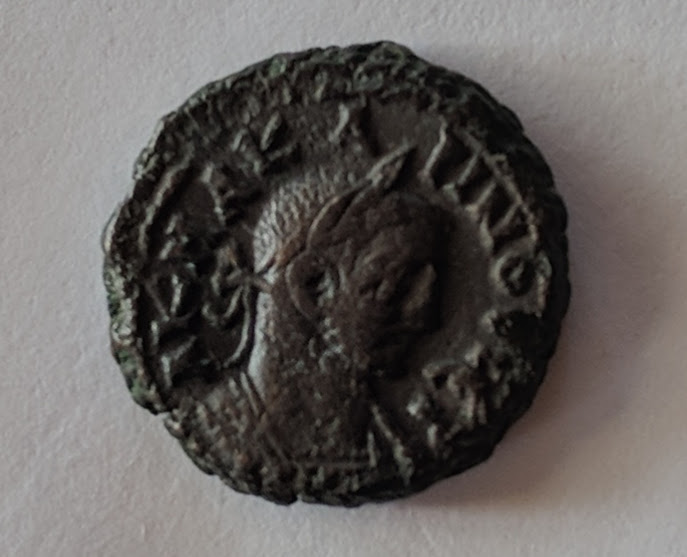 Carinus - An interesting pairing? - Roman Imperial Coins - Numis Forums