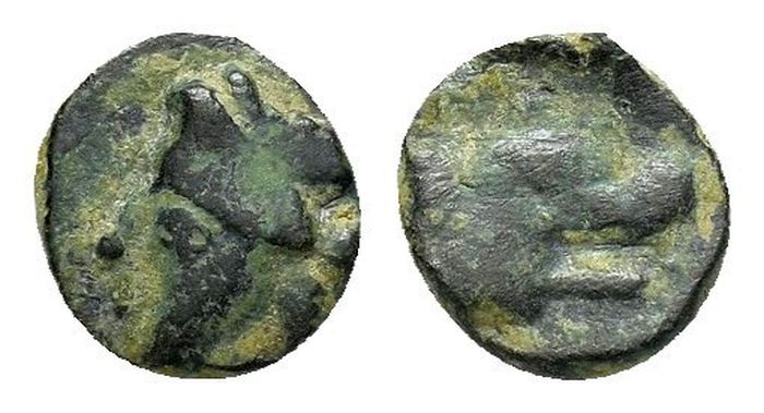 The Wolf of Argos - Greek Coins - Numis Forums