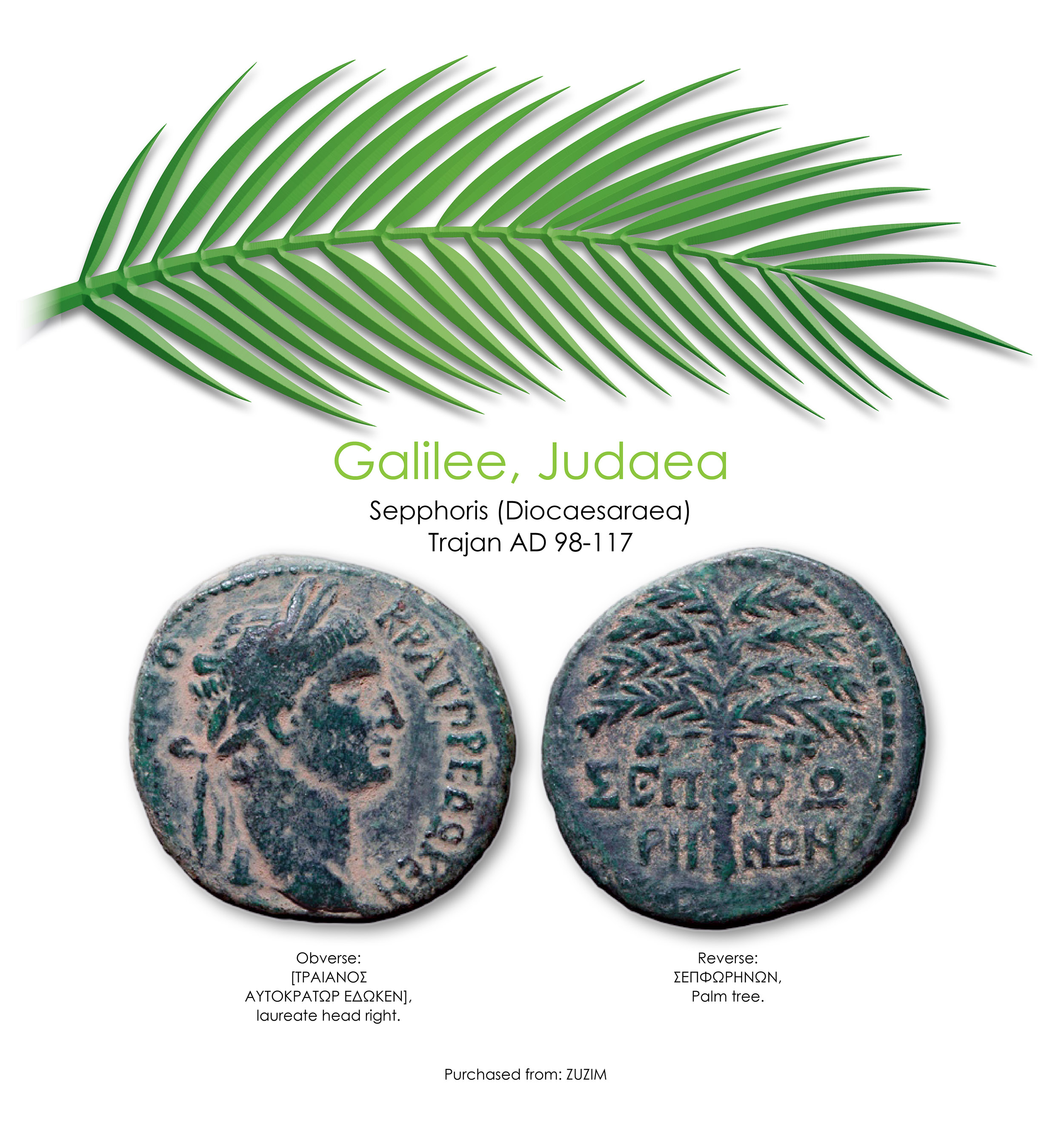 Show Us Your Palms - Roman Imperial Coins - Numis Forums