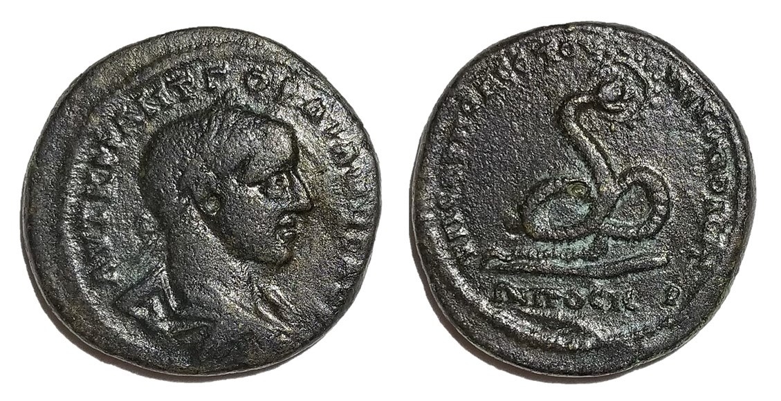 A nimbate and radiate Glykon from Thracia - Roman Empire - Numis Forums