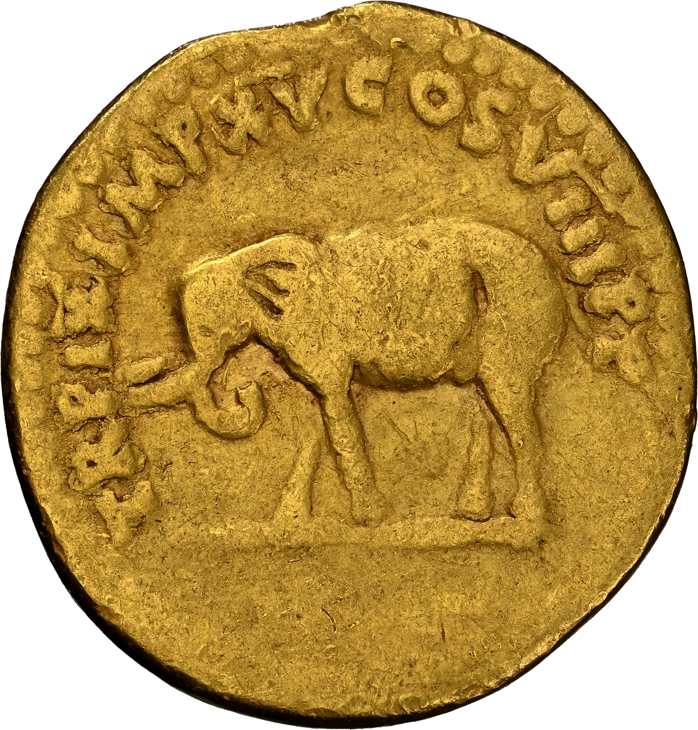 Newp: Titus aureus/elephant - Roman Imperial Coins - Numis Forums