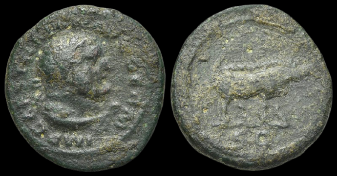 Hercules and the Erymanthian boar - Roman Republic Coins - Numis Forums
