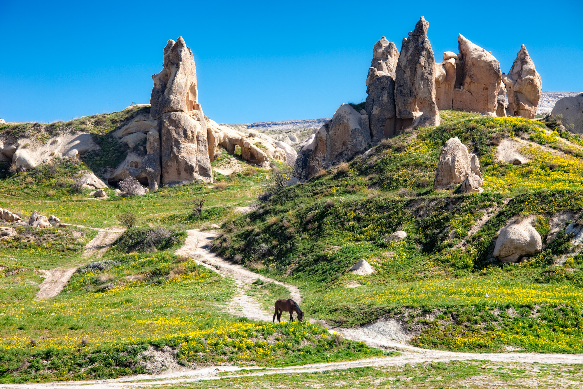 Cappadocia - Roman Province - Roman Imperial Coins - Numis Forums