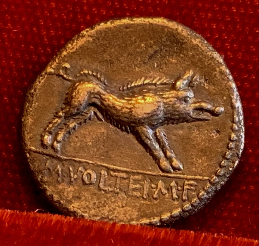 Hercules and the Erymanthian boar - Roman Republic Coins - Numis Forums