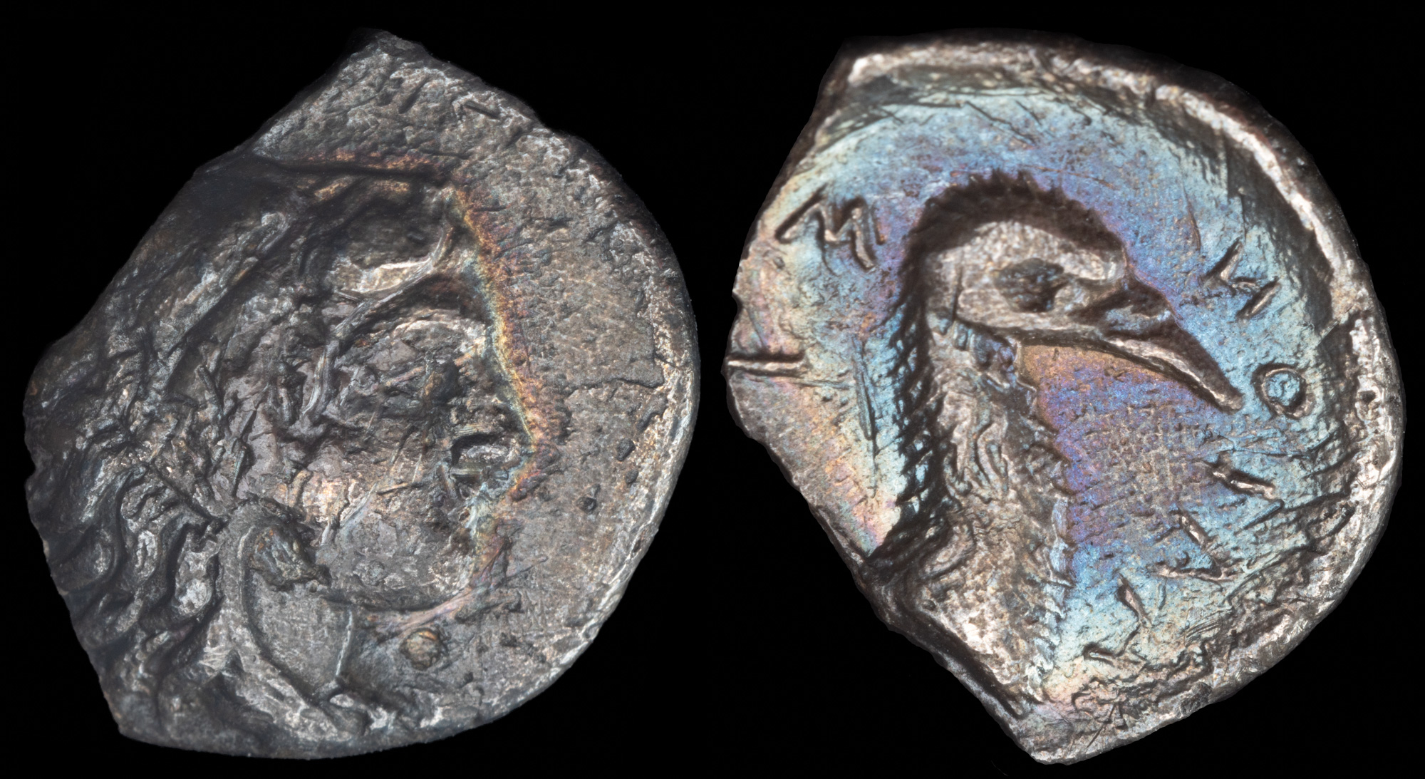 Birding with Herakles - Greek Coins - Numis Forums