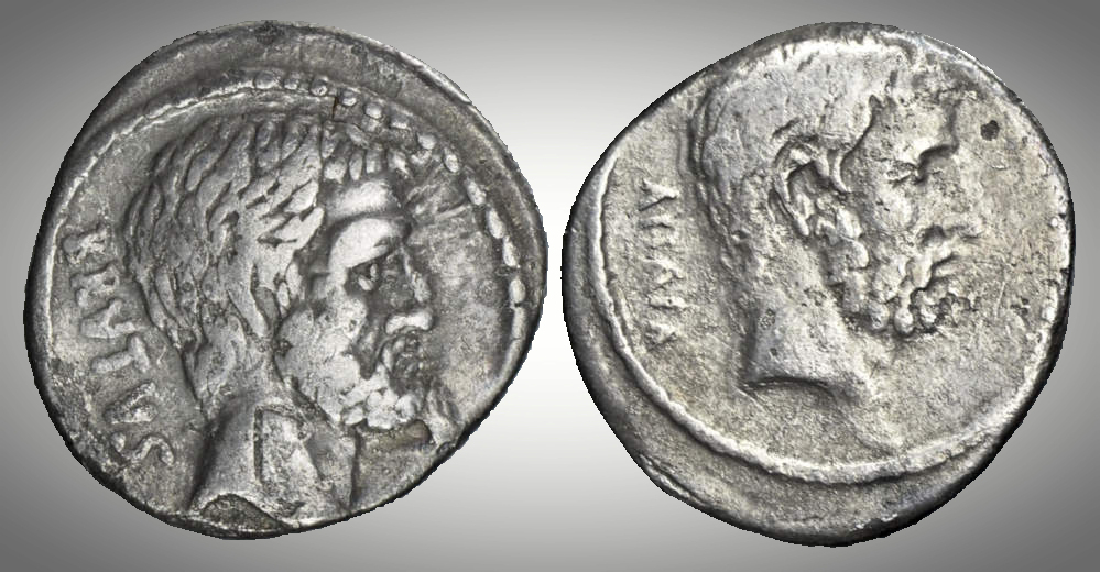 NYINC Newp: my first Brutus - Roman Republic Coins - Numis Forums