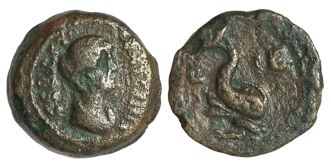 Faustina Friday – Dolphin Edition - Faustina Friday - Numis Forums
