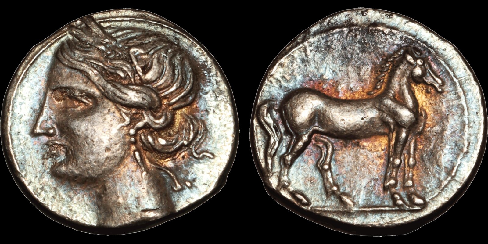My first coin from Ancient Carthage! - Greek Coins - Numis Forums