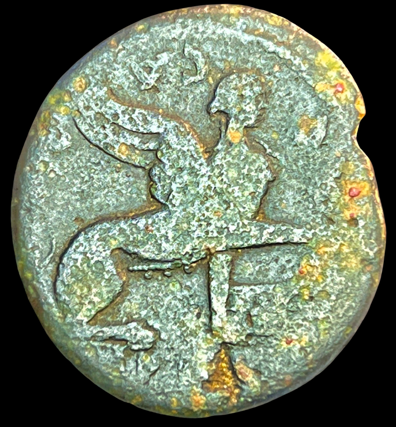 Numis Forums - The Premier Ancient & World Coin Forum