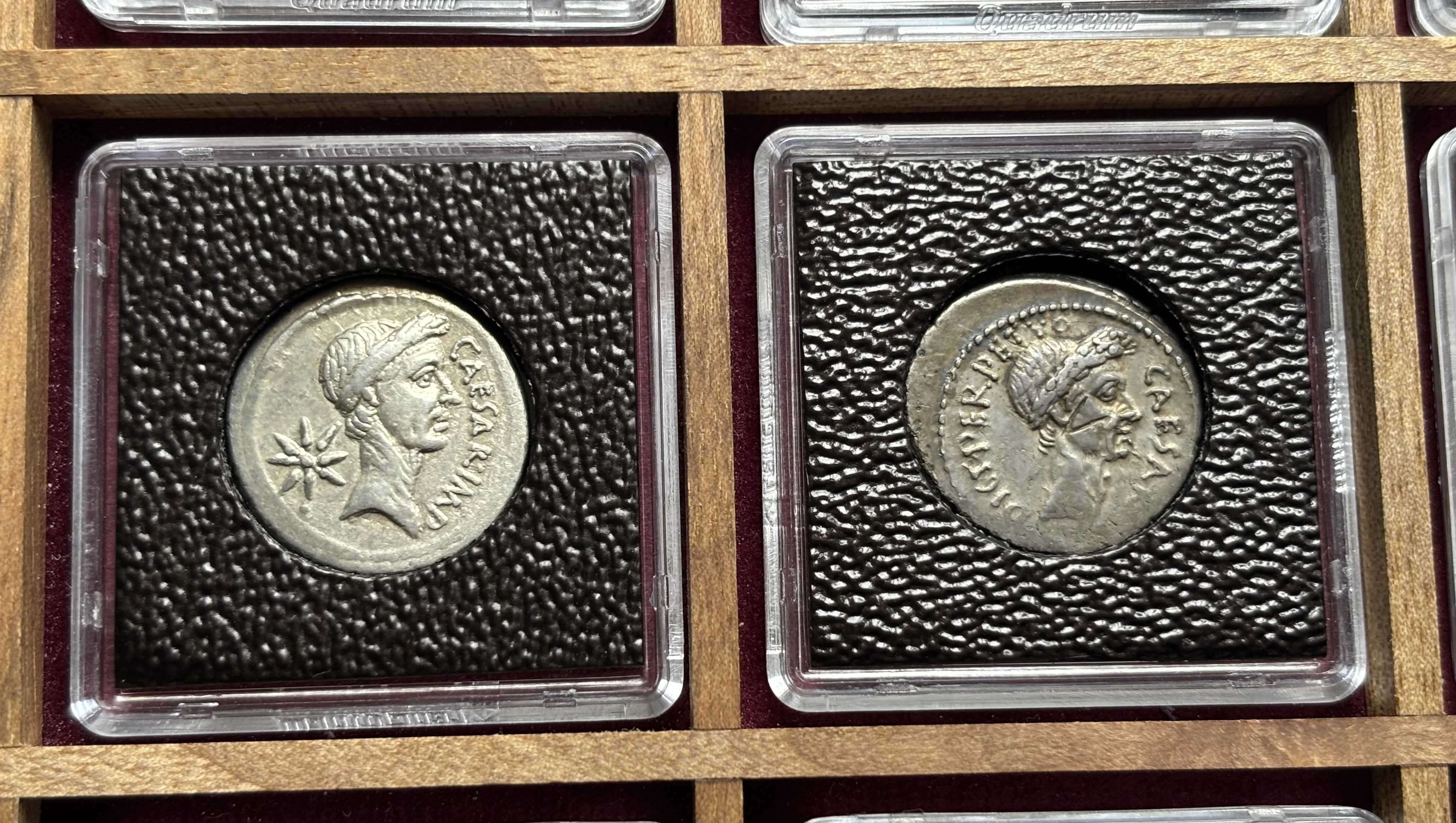 The coins that killed Caesar - Roman Republic Coins - Numis Forums