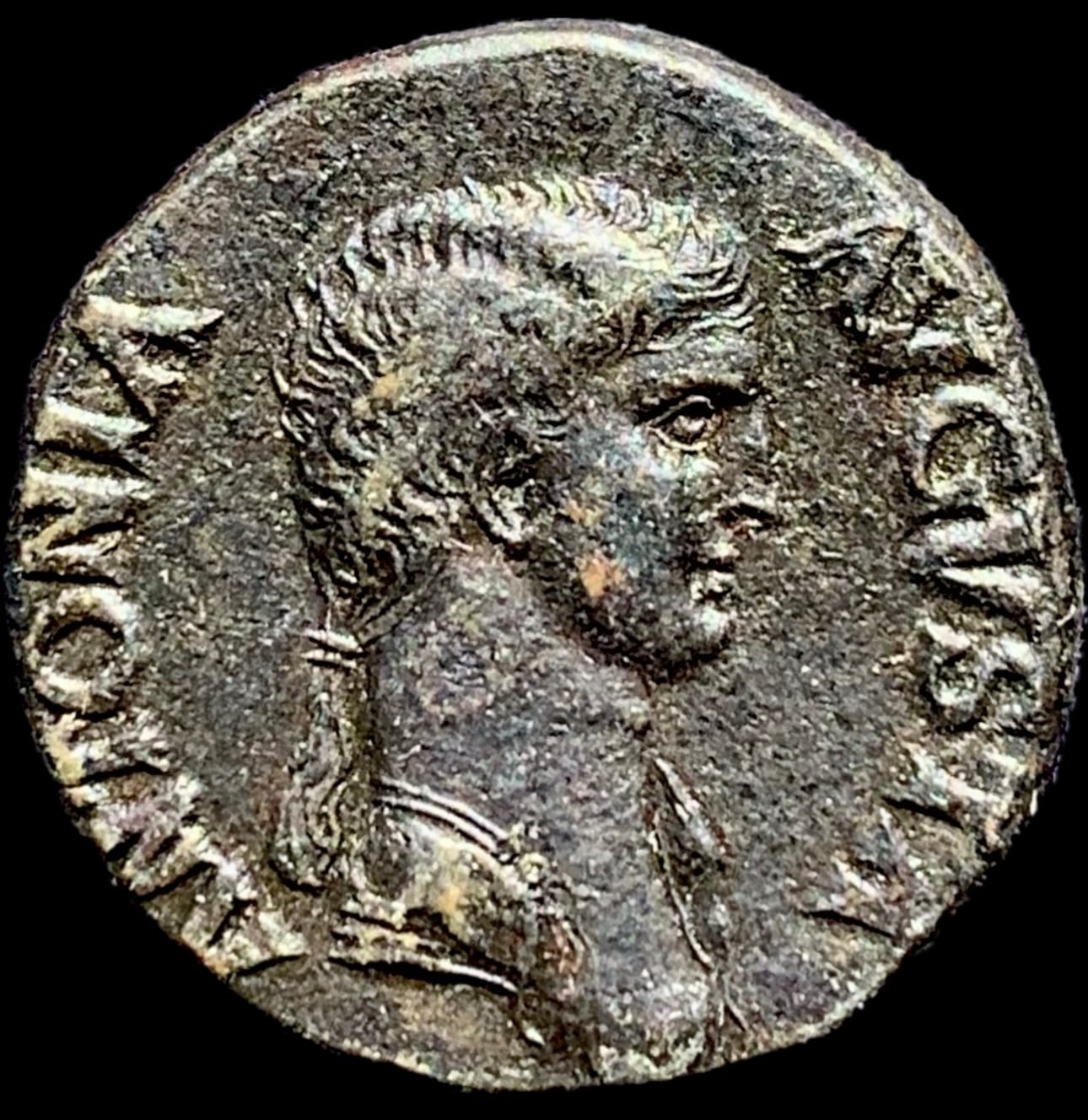 Antonia Minor - Roman Imperial Coins - Numis Forums