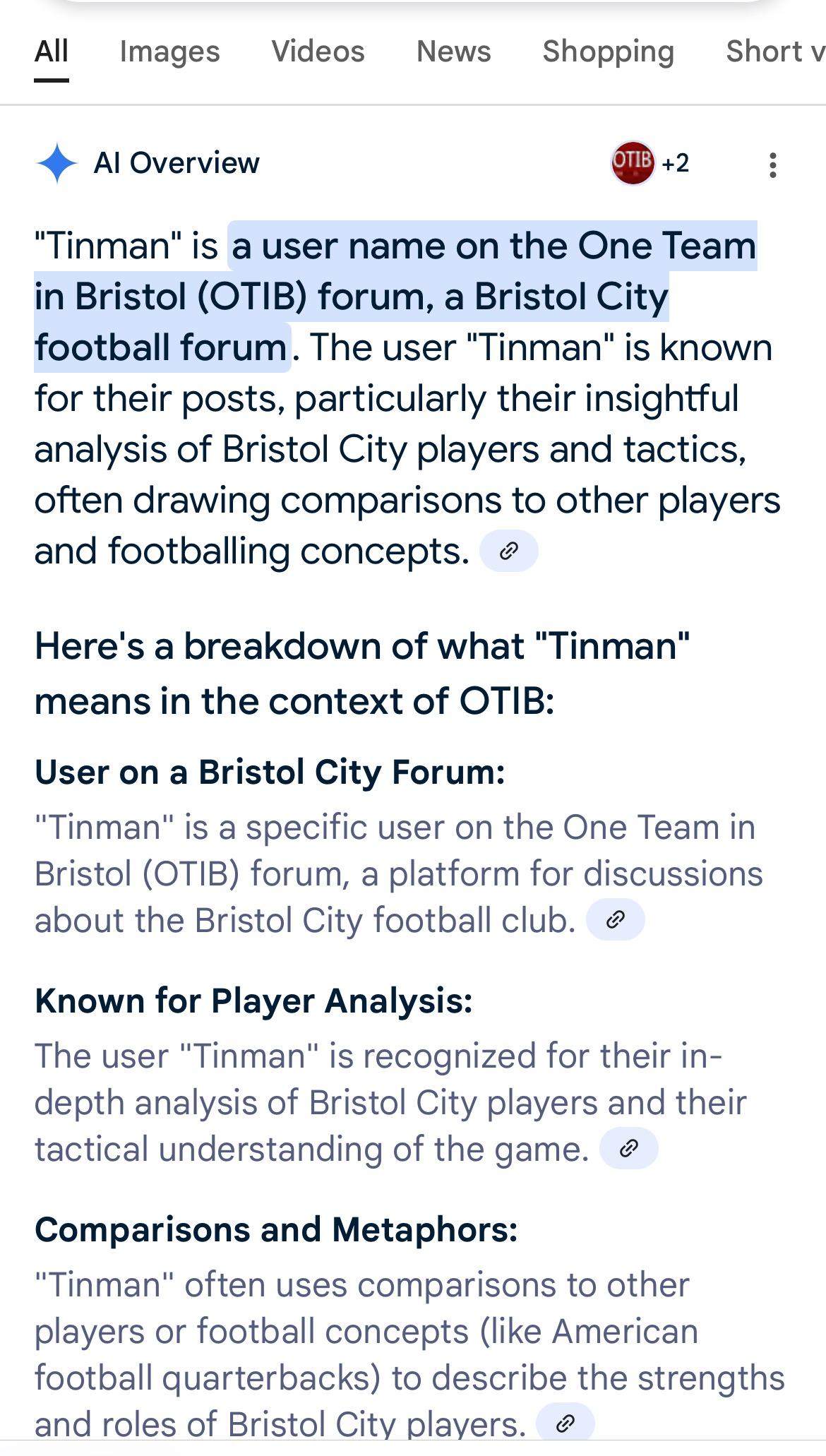 AI and its opinions on OTIB - Football Chat - OTIB - The Bristol City Forum