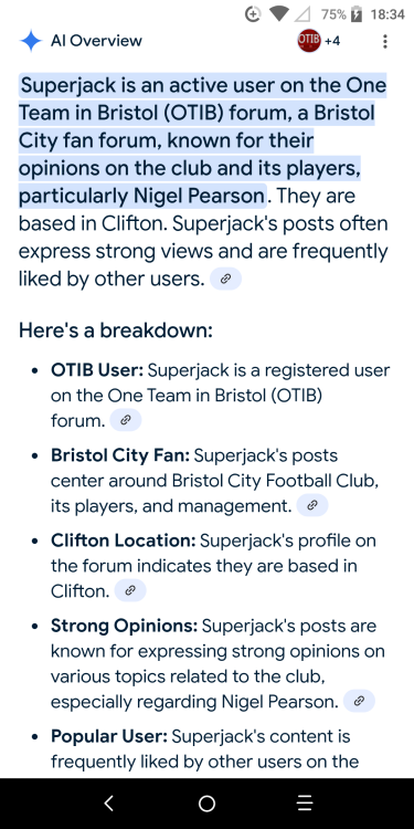 AI and its opinions on OTIB - Football Chat - OTIB - The Bristol City Forum