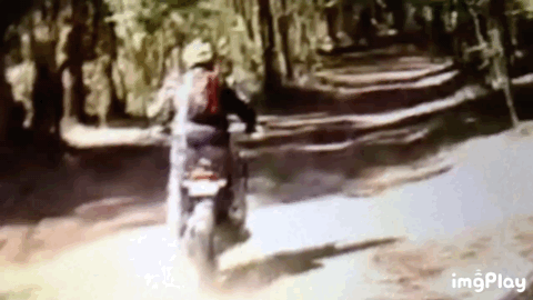 Watch out for diagonal ruts - Yamaha Tenere 700 Pics and Videos ...