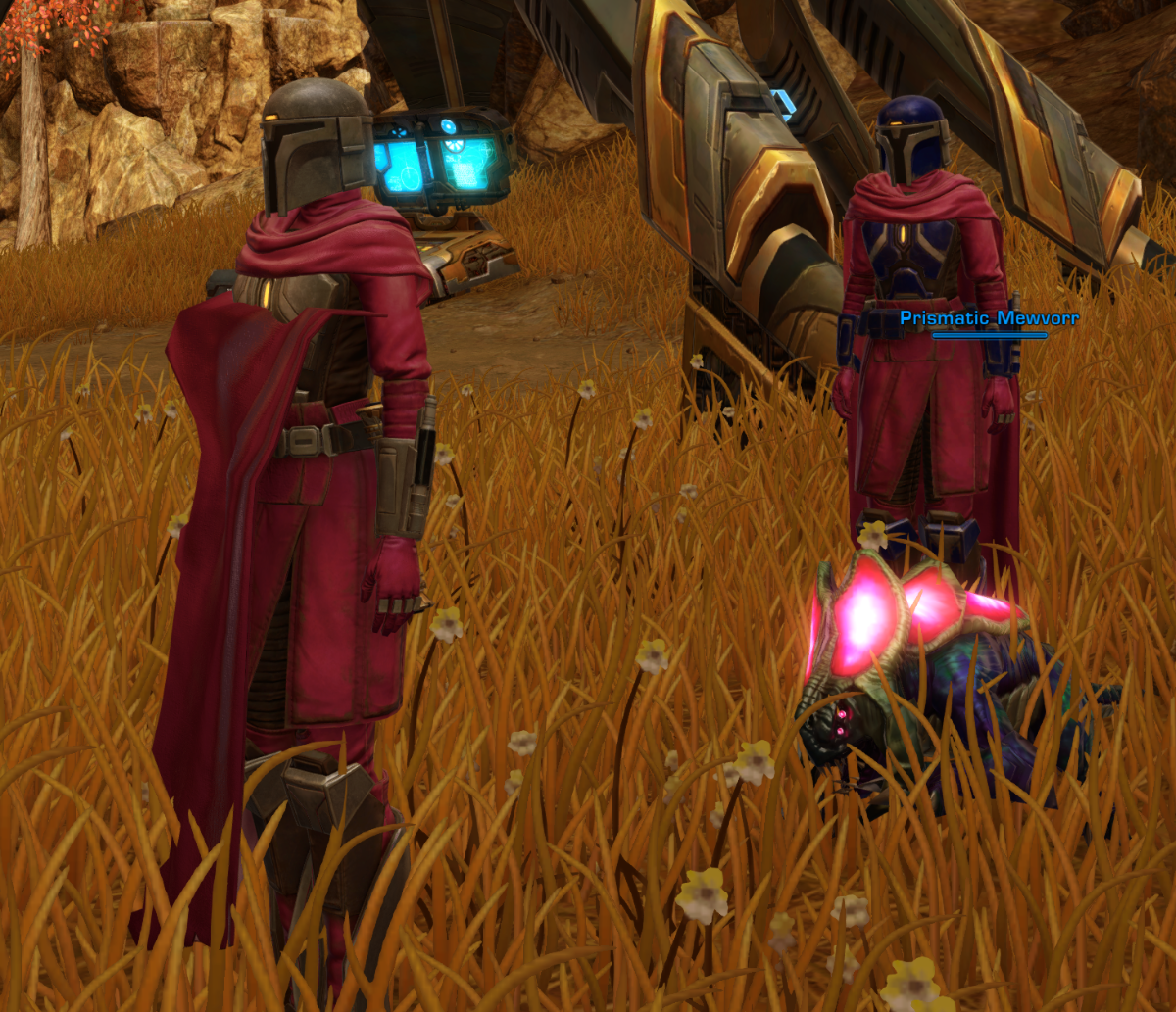 Ruhnuk Wanderer Armor (cloak) bug - Bug Reports - SWTOR | Forums