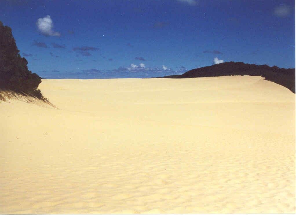 Dune at Lake Wabby, Fraser Island - Uncategorized - Photo.net