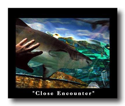 Close Encounter - Uncategorized - Photo.net