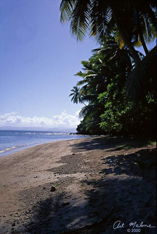 Beach in front of Marlin Bay Resort - Nature - Photo.net