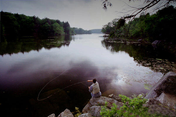Wawayanda State Park - Nature - Photo.net