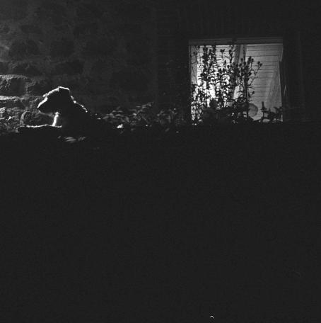 W/NW Eccentric Pets - Leica and Rangefinders - Photo.net
