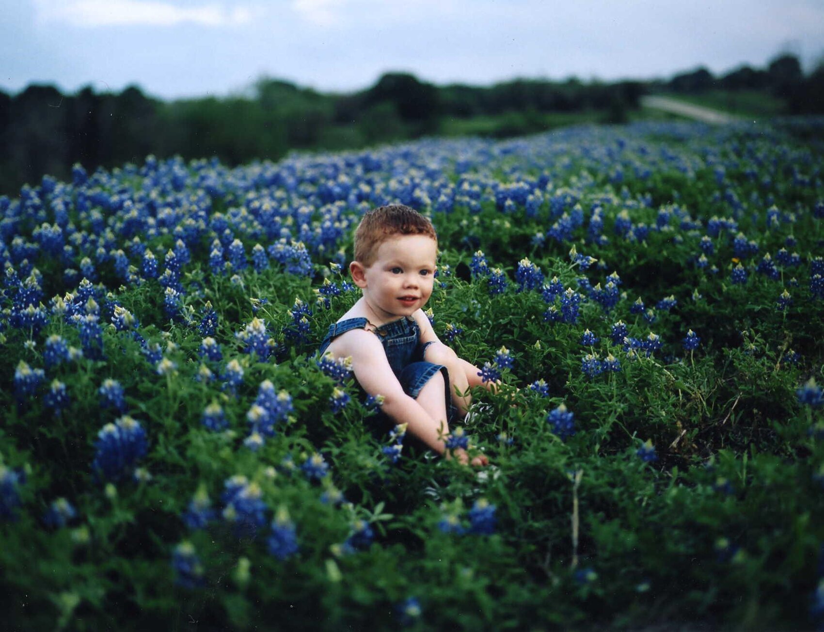 Texas Bluebonnets - Portrait - Photo.net