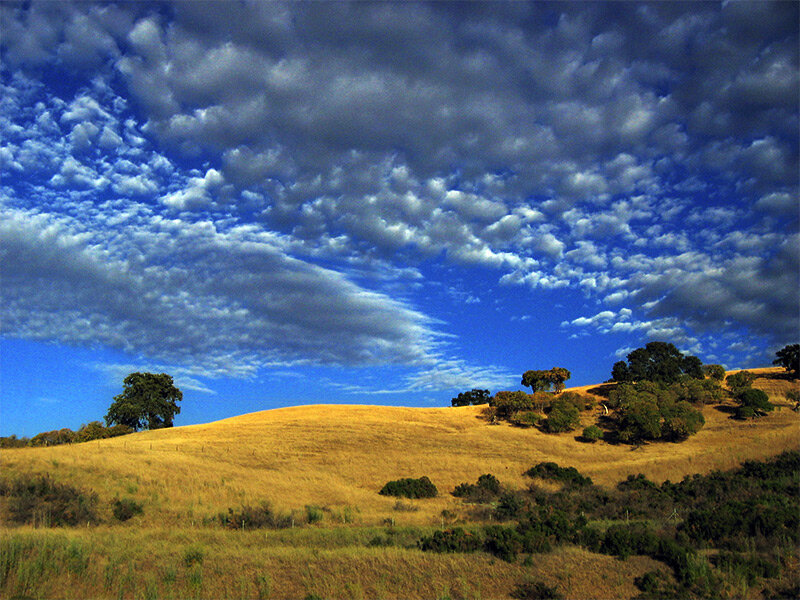 typical california hills - Landscape - Photo.net