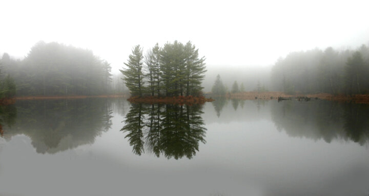 A real scene not controlled. but it looks like an ink blot test What do ...