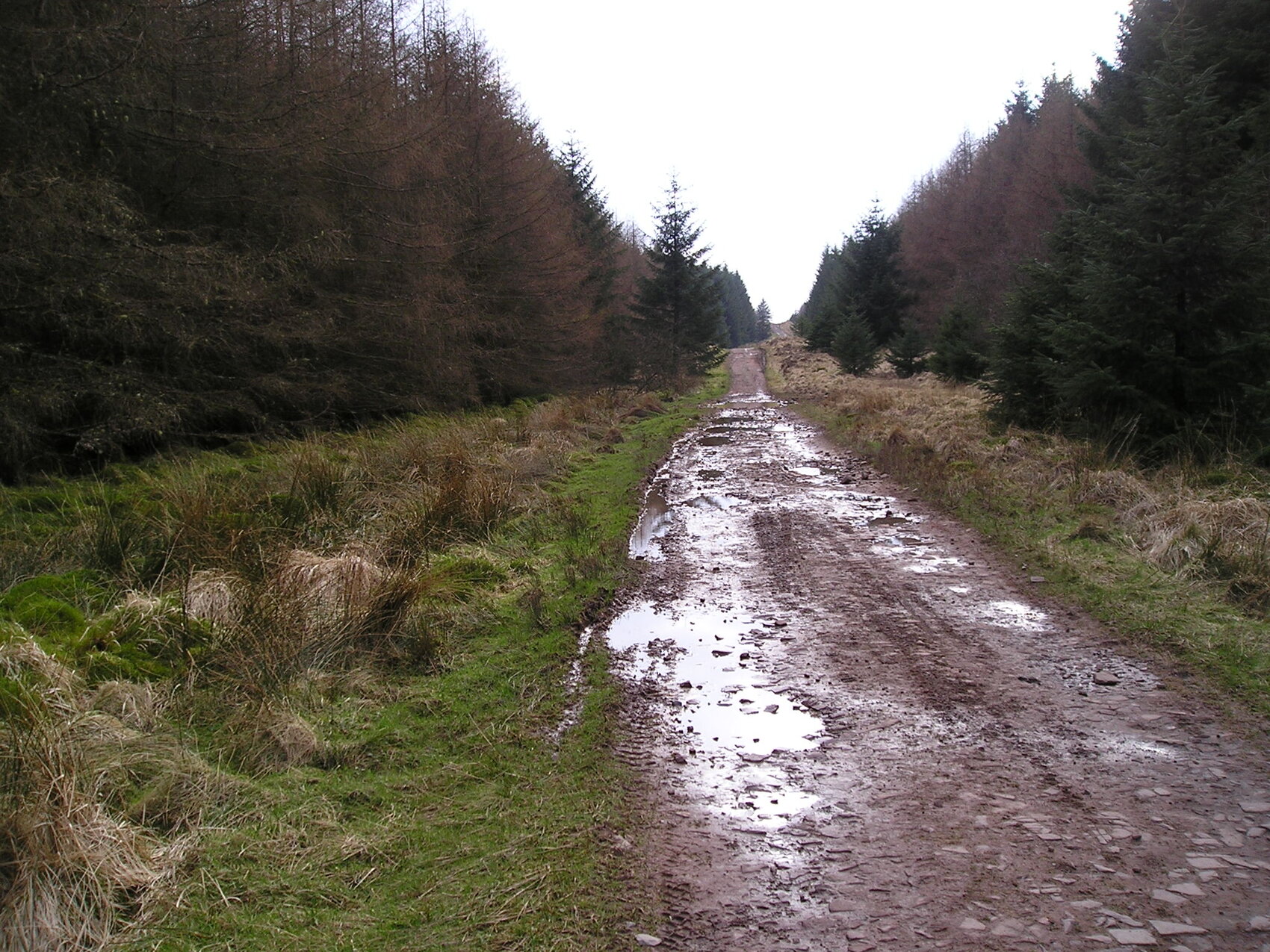 Sarn Helen Roman Road - Uncategorized - Photo.net