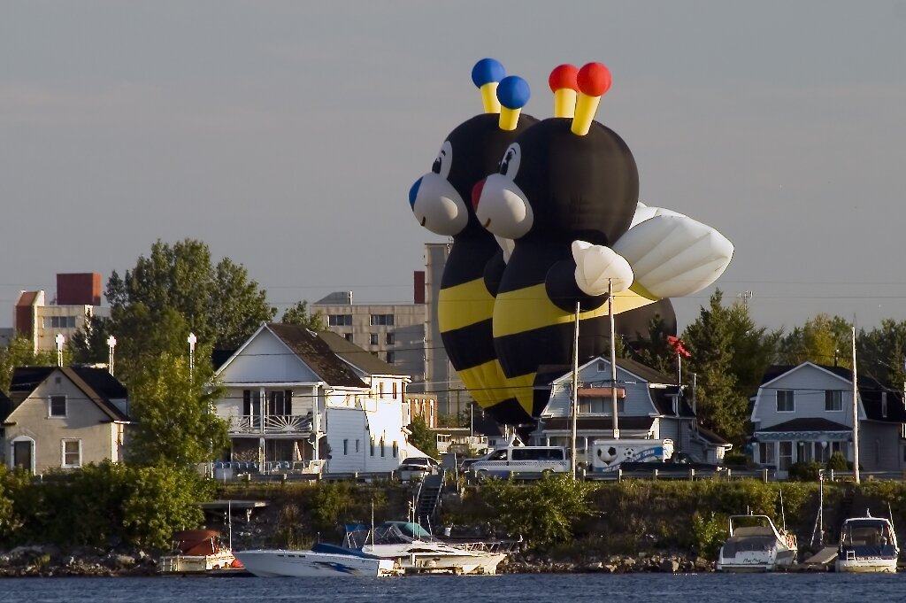 Giant alien bees invade the town of Gatineau, Quebec: Photo Friday ...