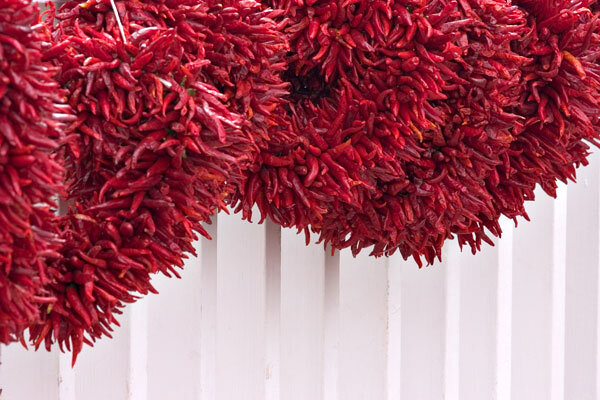 Bunches of Ristas (dried chilli peppers) hang on a white picket fence ...