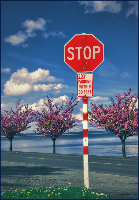 Stop sign - Abstract - Photo.net
