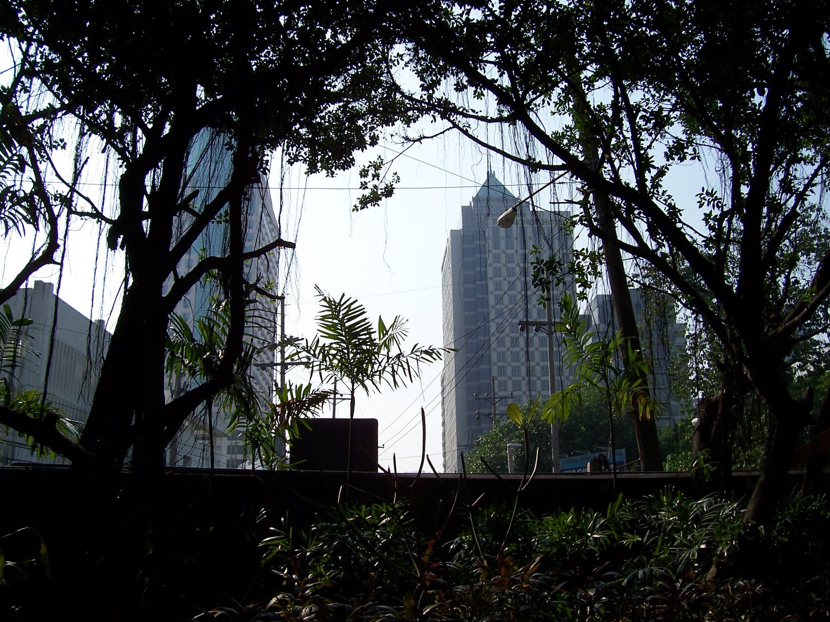City through Jungle Frame - gardens at the Edsa Shangri-la Hotel in ...