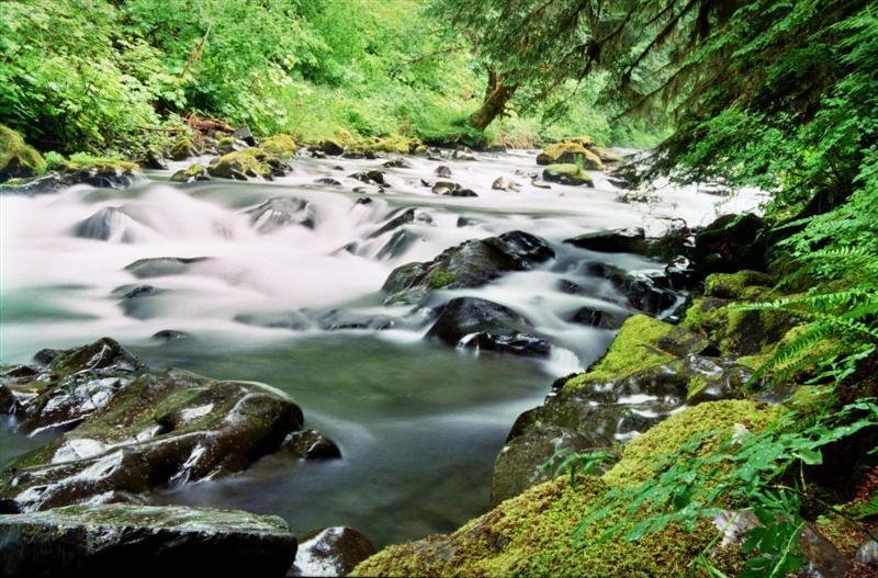Smooth Water - Landscape - Photo.net