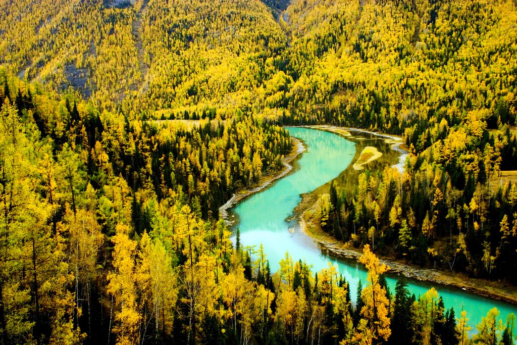 Green Meander - Landscape - Photo.net
