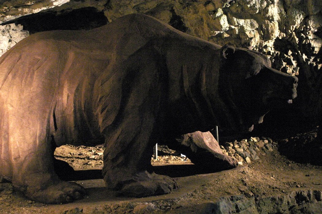 Beware of the cave bear! - Nature - Photo.net