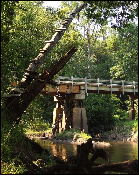 Tree Swing @ McCroan's Bridge - Uncategorized - Photo.net