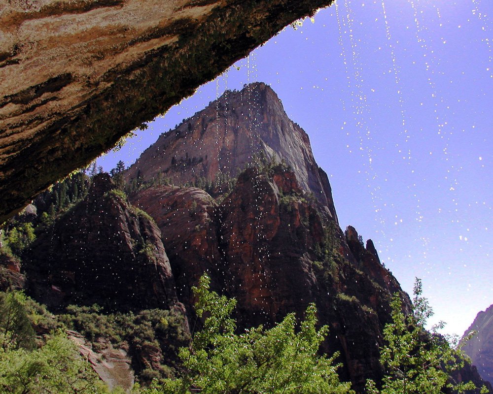 Weeping Rock Zion National Park - Landscape - Photo.net