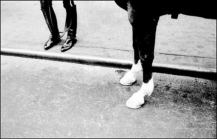 Legs - No Words - Photo.net