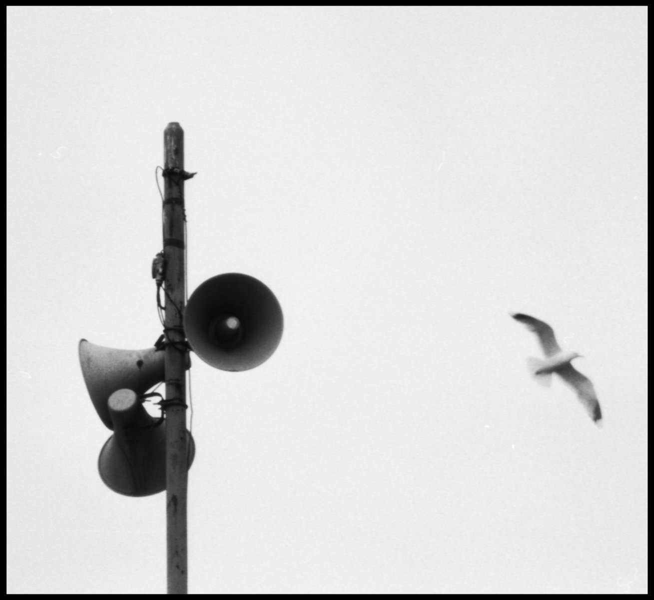 Propaganda and Freedom within single frames. - Uncategorized - Photo.net